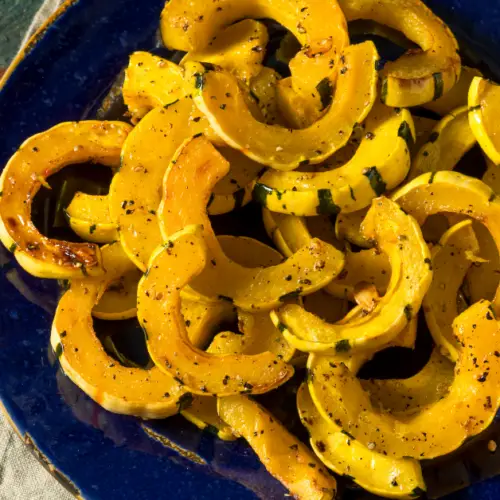 24 Best Squash Recipes - Go Money Mom