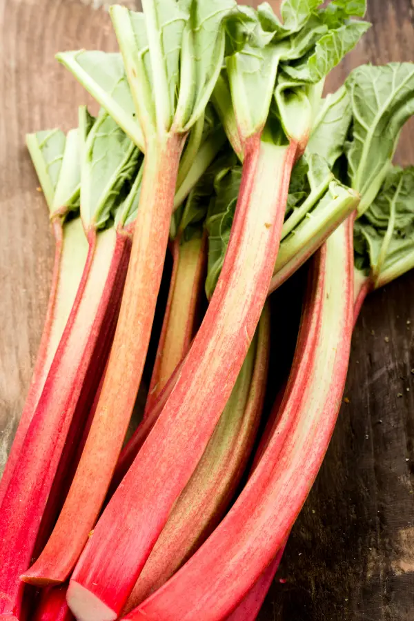 Can You Freeze Rhubarb(Recipe Ideas) - Go Money Mom