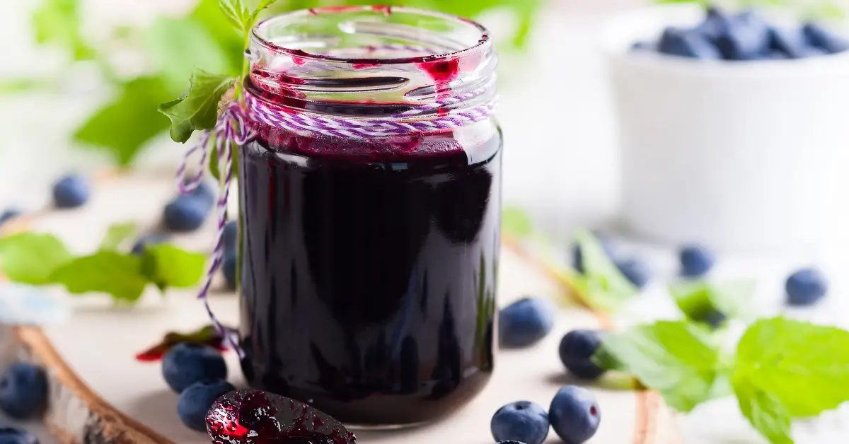 11 Blueberry Recipes - Go Money Mom